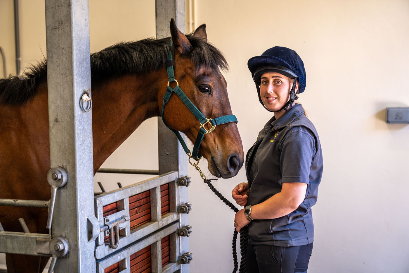 Our services | The Royal (Dick) School of Veterinary Studies | The ...