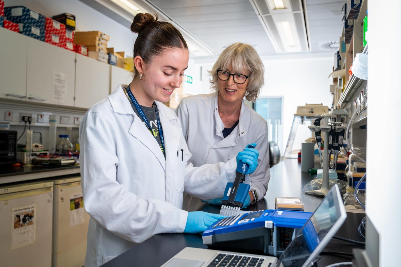Roslin wins Athena Swan gold status for second time | The Roslin ...