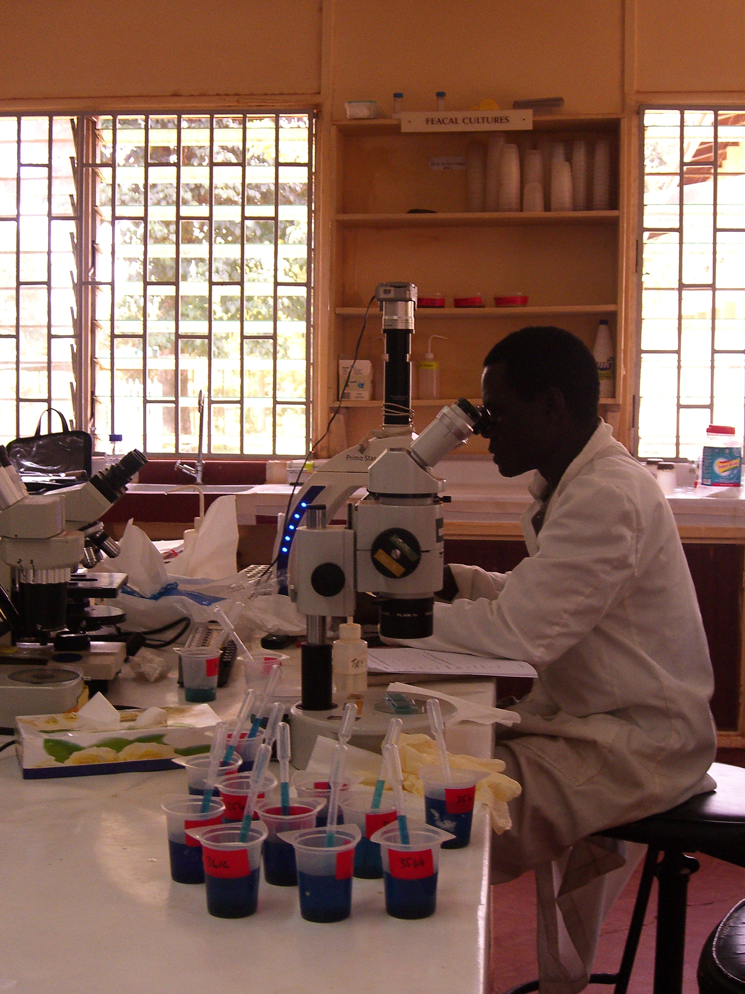 High resolution genotypes and phenotypes | The Roslin Institute | The ...