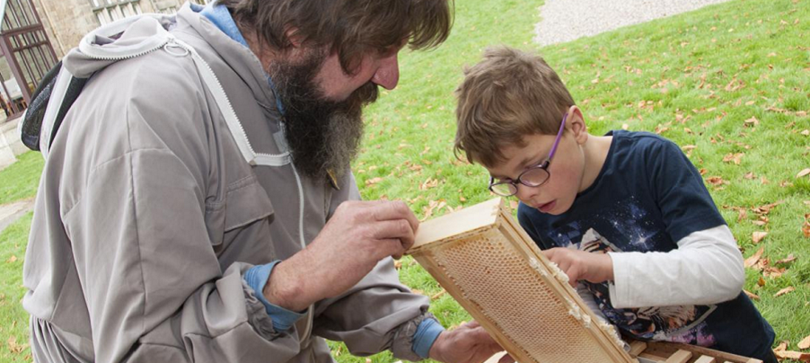 Dr Mark Barnett on the genetics of bees | The Roslin Institute | The ...
