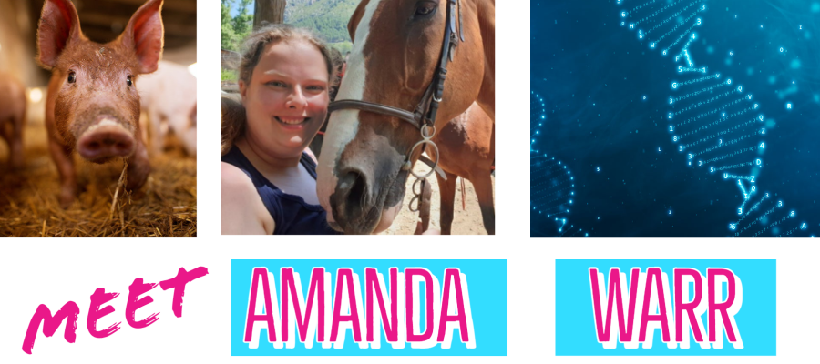 DNA & Disease | Protecting Pigs | Easter Bush Science Outreach Centre ...