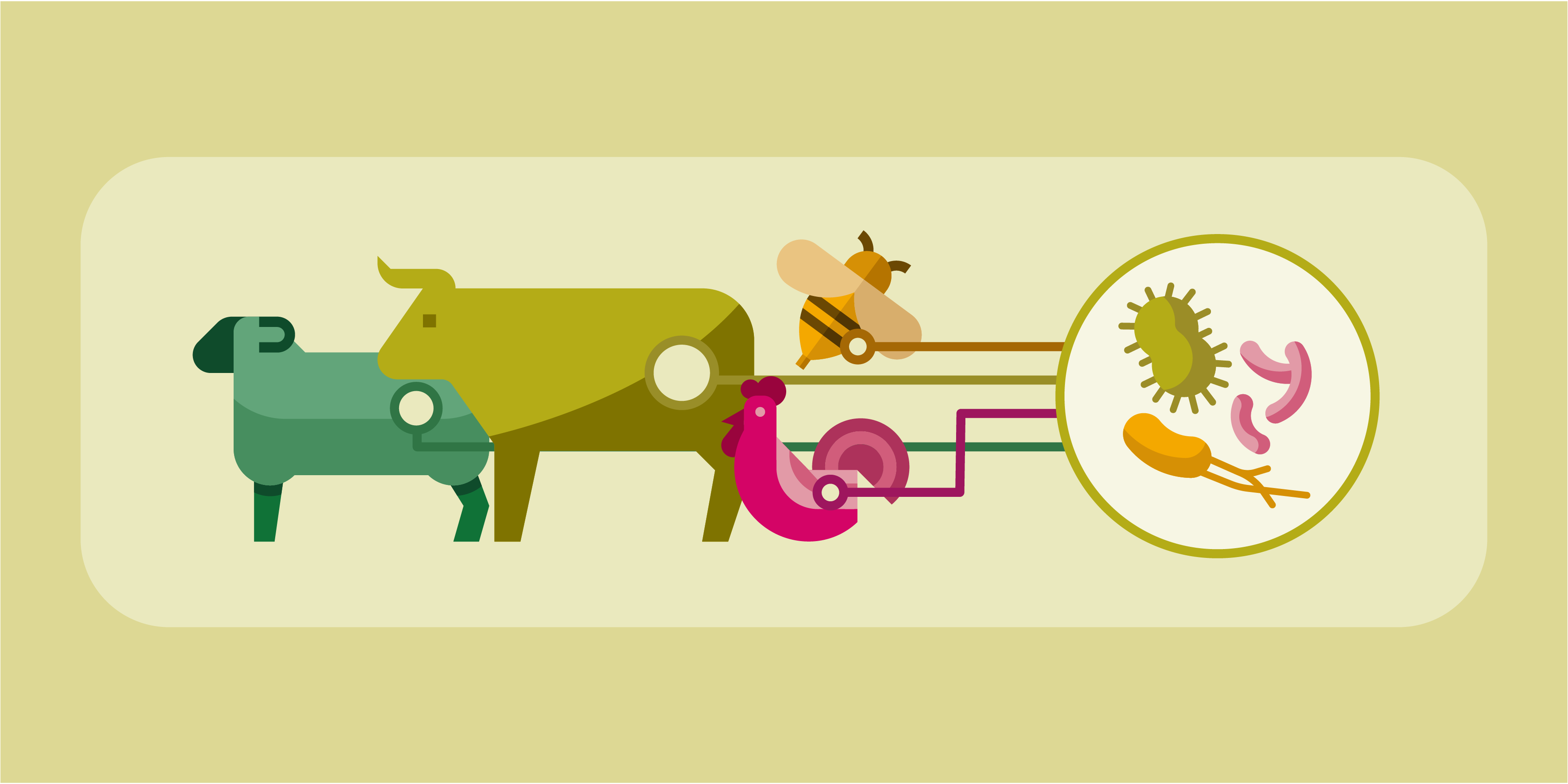 Research Focus: Gut bacteria offers clues on animal health | The Roslin ...