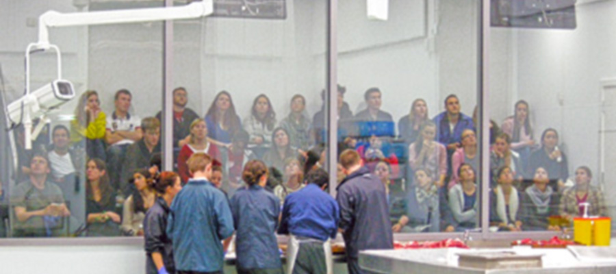 Our Staff | The Royal (Dick) School of Veterinary Studies | The Royal ...