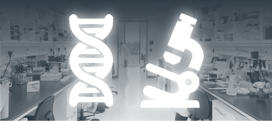 Laboratory for Bacterial Evolution and Pathogenesis (LBEP) | The Roslin ...