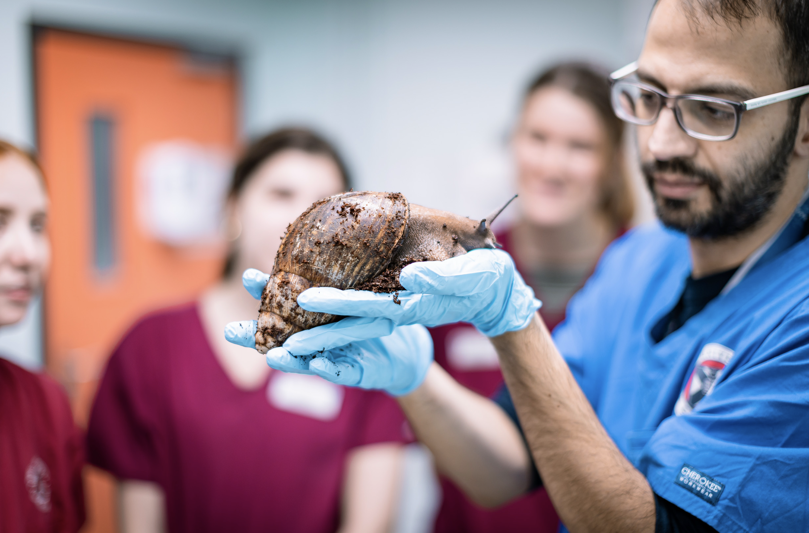 How to Apply | The Royal (Dick) School of Veterinary Studies | The ...
