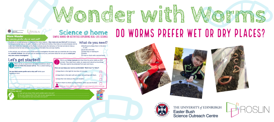 Wonder with Worms | Easter Bush Science Outreach Centre | The Royal ...